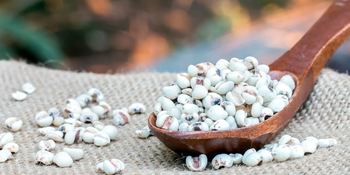 ¿Cómo se hacen las tutucas? | Filo News