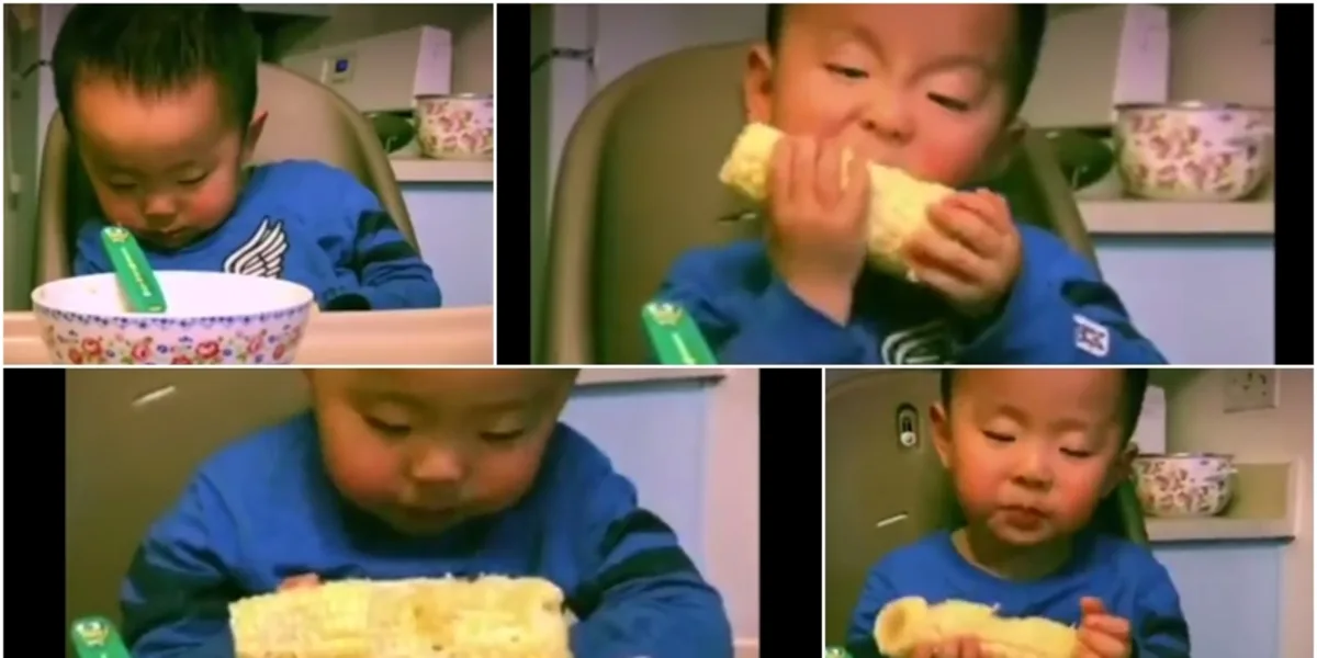 ¿Comer o dormir? esa es la cuestión: El bebé que se duerme sin dejar su ...