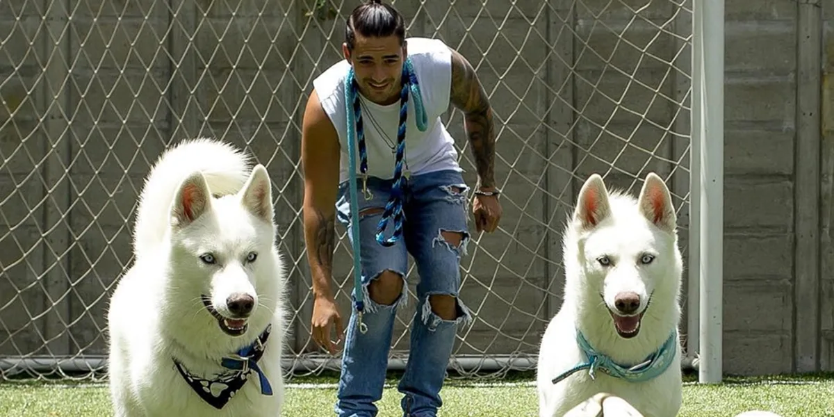 Día Mundial del Animal: conocé a los perros de Maluma | Filo News