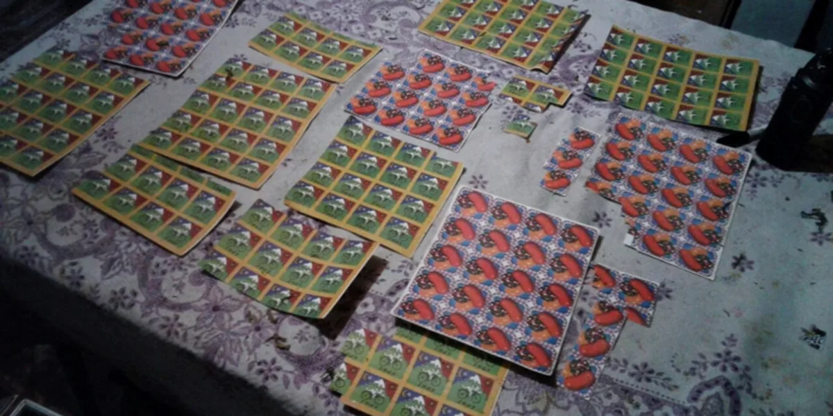 Cayó "La Reina de la Pepa" con más de 3600 dosis de LSD | Filo News