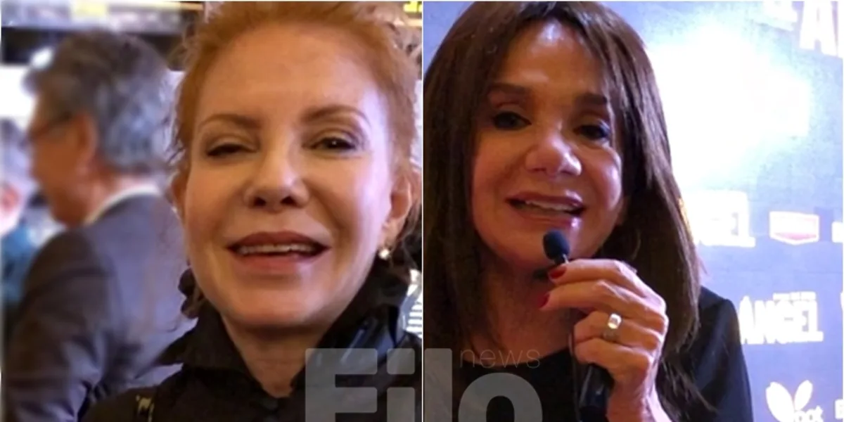 Cecilia Roth y Ana María Picchio, unidas por el aborto legal: En horas ...