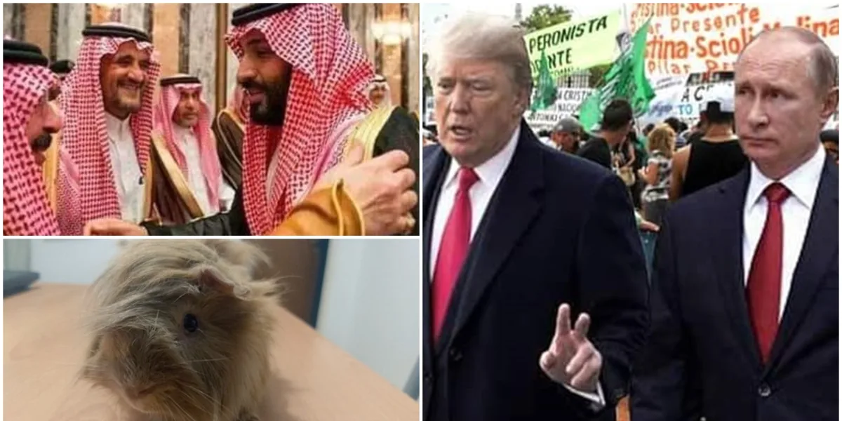 Los mejores memes que trajo el G20 | Filo News