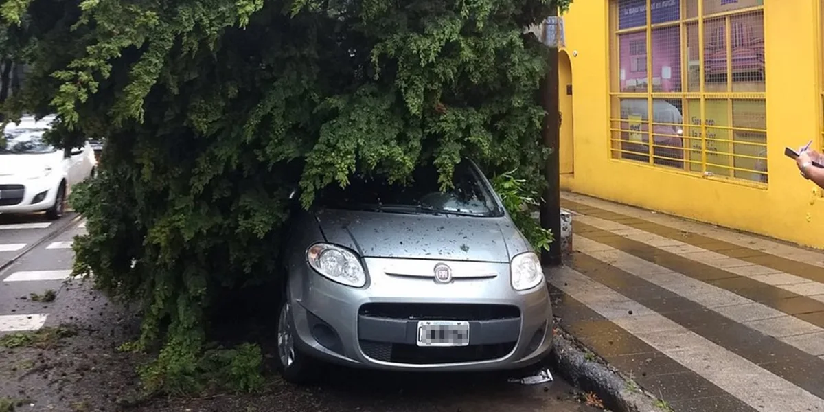 Fin del temporal: techos volados, casas inundadas y un jardín ...