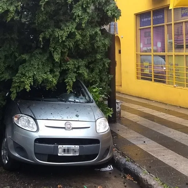 Fin del temporal: techos volados, casas inundadas y un jardín ...