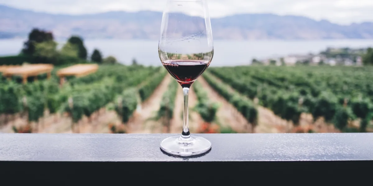 ¿Por qué festejamos el día mundial del malbec? Un poco de historia y ...
