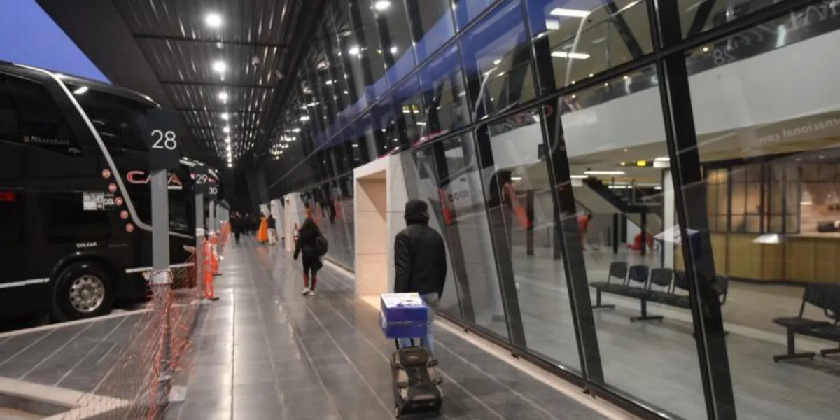 Será obligatorio el uso de cinturón en micros de larga distancia | Filo News