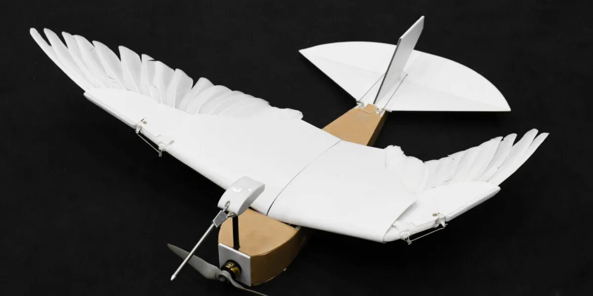 PigeonBot, el primer robot que puede volar como un pájaro real | Filo News