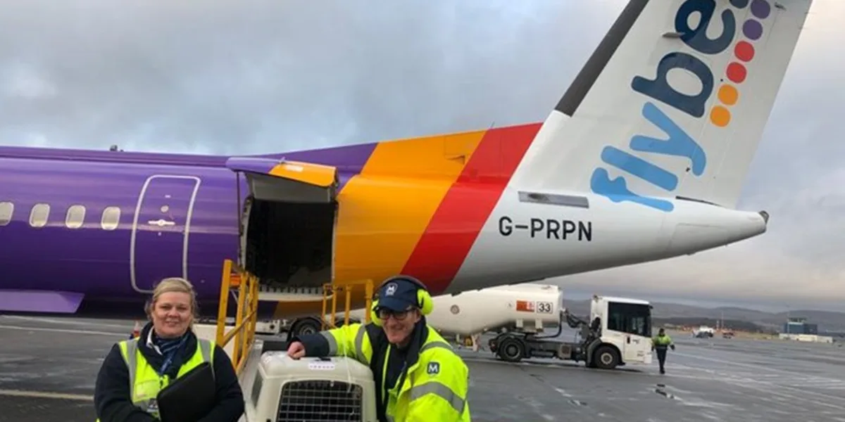 Aerolínea británica Flybe se declaró en quiebra por el coronavirus | Filo News