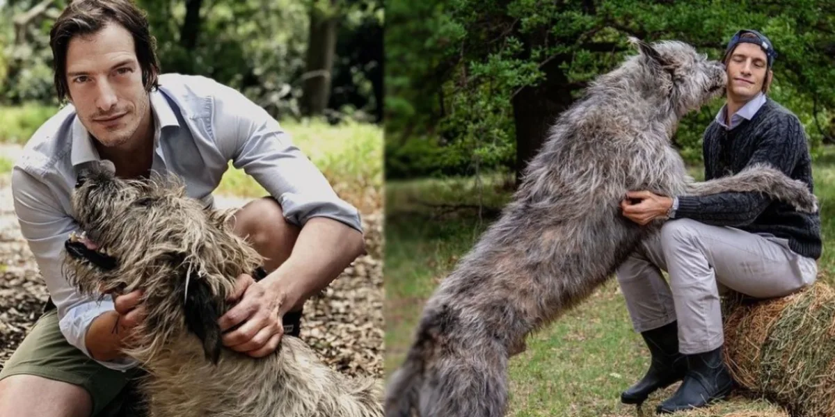 Furor en las redes sociales por el perro gigante de Ivan de Pineda ...