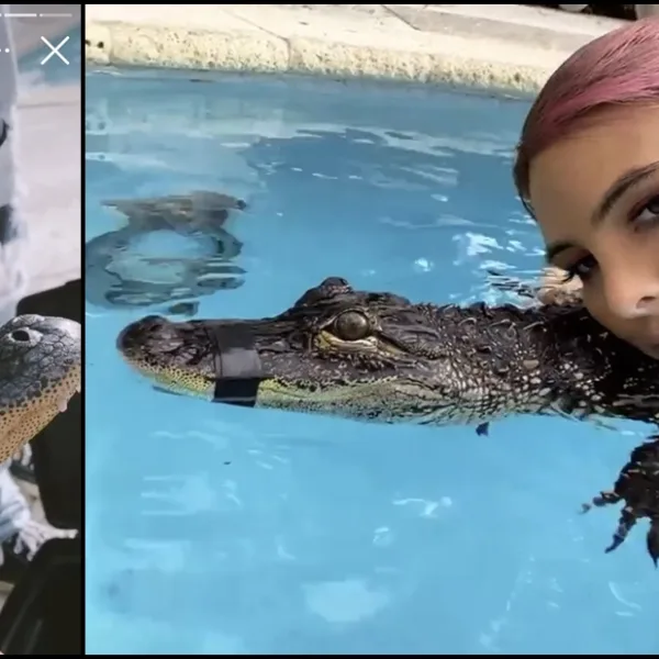 El descargo de Stefi Roitman tras las acusaciones de maltrato animal ...