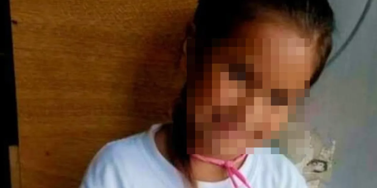 Desesperada Búsqueda De Una Nena De 7 Años Que Desapareció En Parque 2739