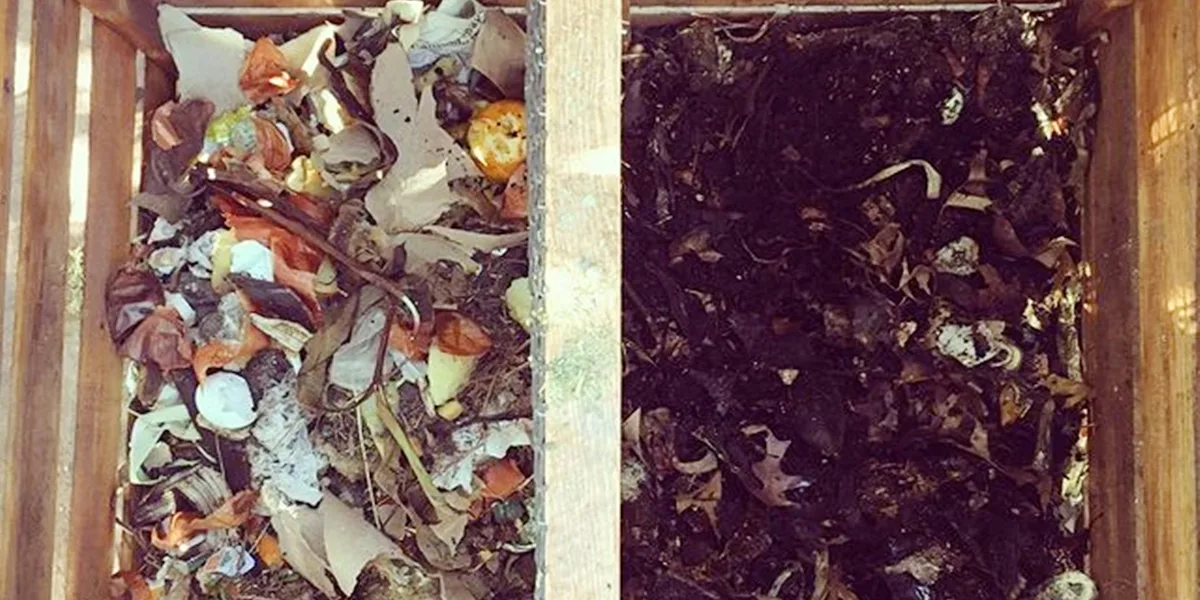 Todo lo que tenés que saber sobre el compost: cómo, dónde y por qué es ...