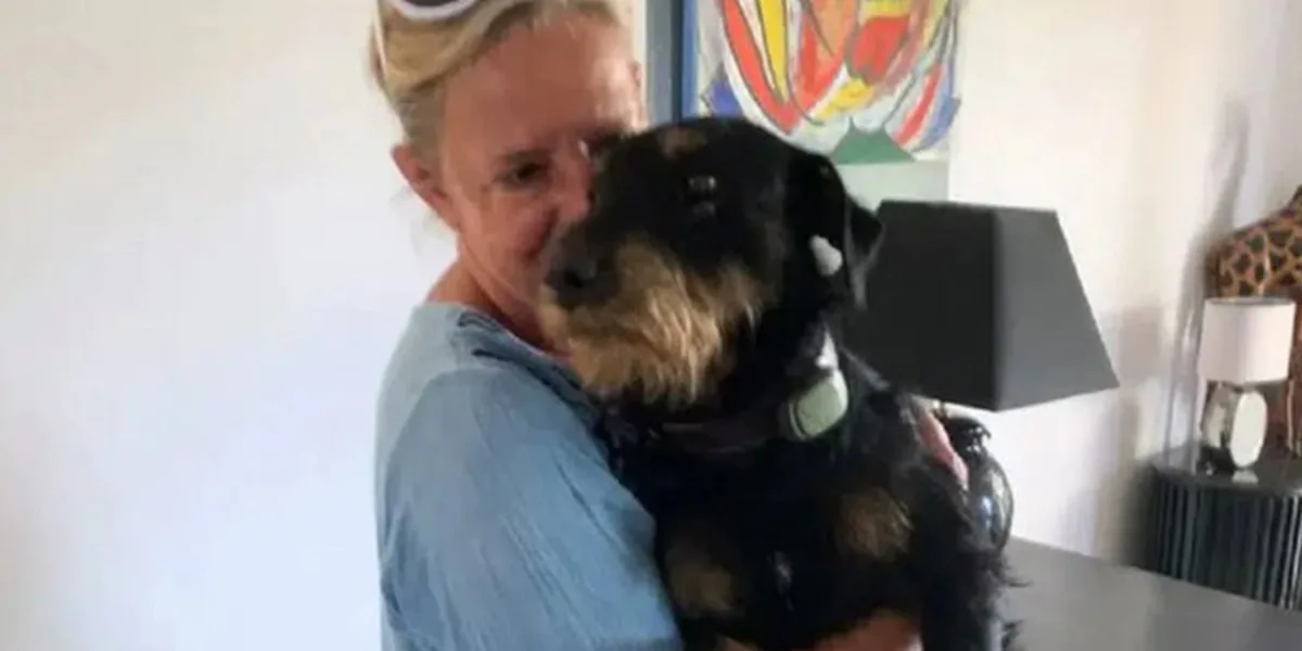 Pablo, el perro que recorrió 380 kilómetros para volver a su hogar ...