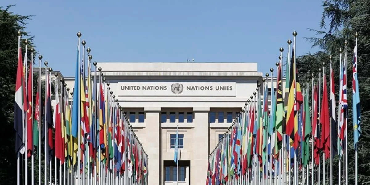 Argentina presidirá el Consejo de DD.HH. de la ONU por 1ª vez en su ...