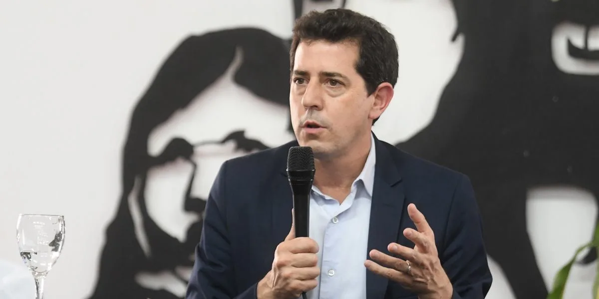 Wado de Pedro propuso evitar que haya elecciones nacionales cada dos ...
