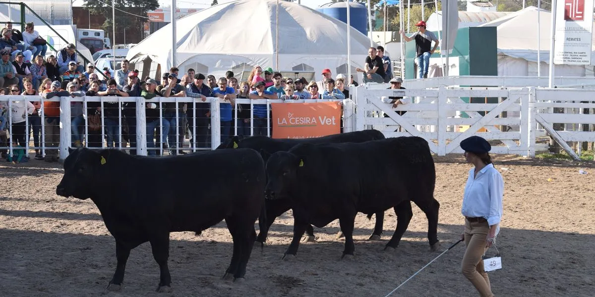 Angus celebra su centenario con una exposición en Palermo | Filo News