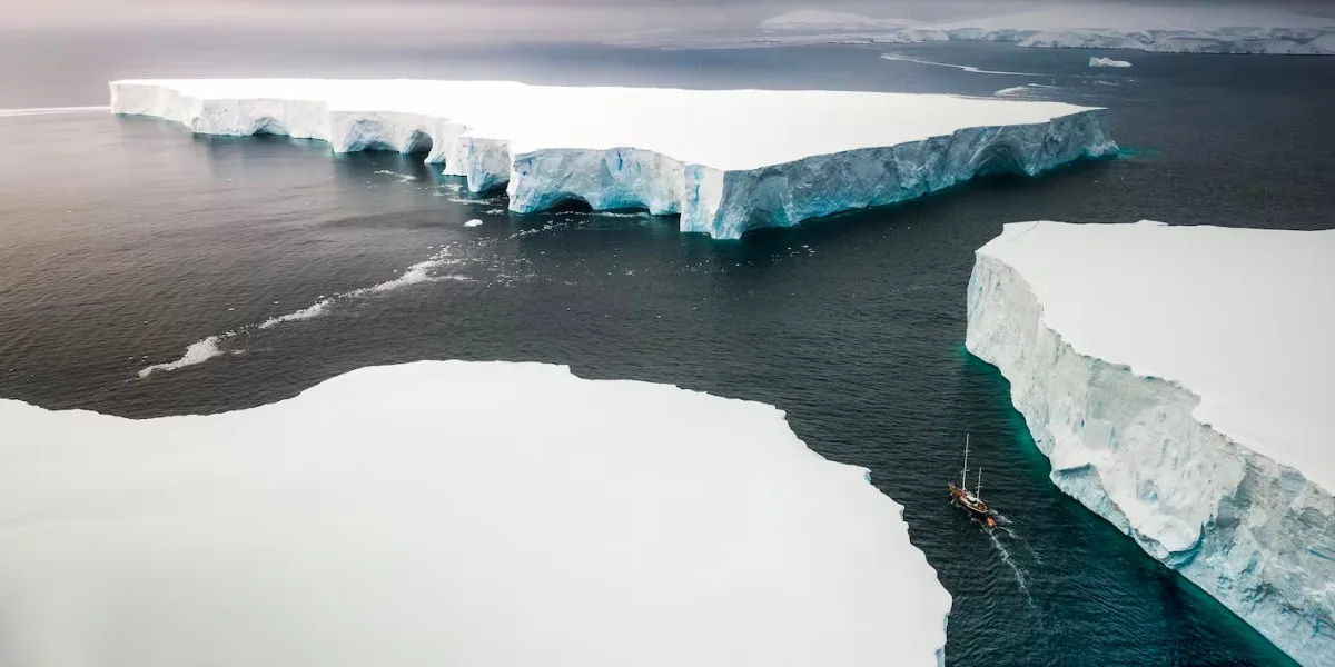 ¿Puede haber vida microscópica oculta bajo el hielo antártico? | Filo News