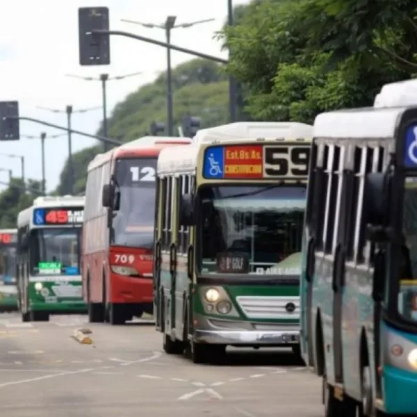 El Gobierno nacional descongeló la tarifa de colectivos y desde enero ...