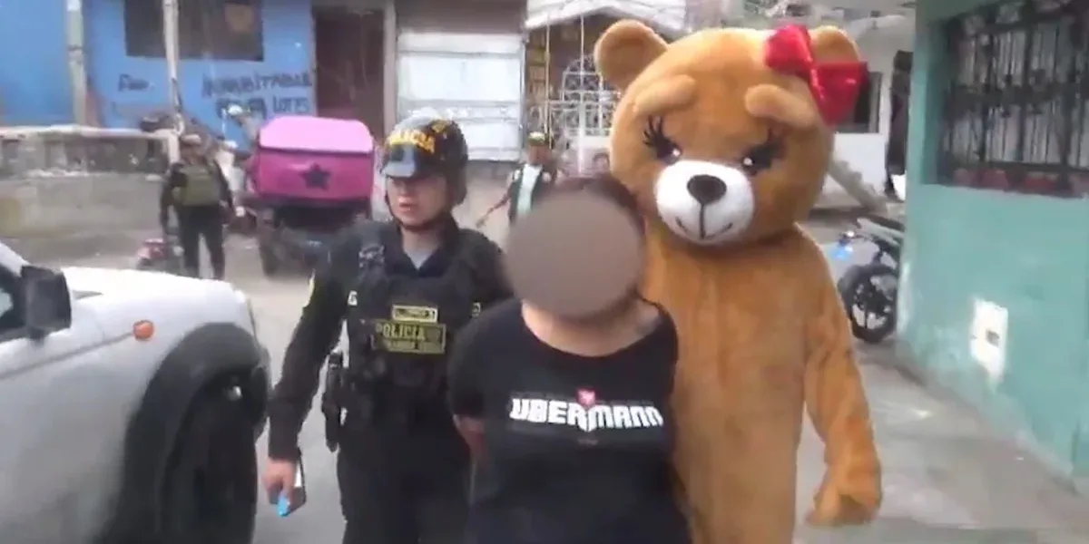 Perú: un policía se disfrazó de osito de peluche para atrapar a una ...