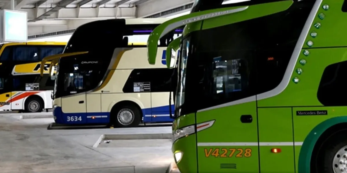 Micros de larga distancia sin seguro: dejarán de cubrir los riesgos de muerte e incapacidad ...