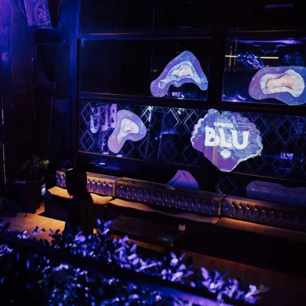 20 años del descubrimiento de las Blue Zones: ¿de qué se trata? | Filo News