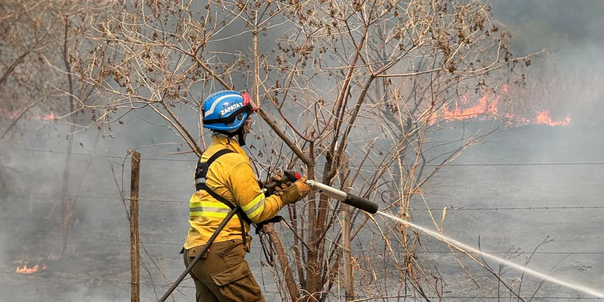 Resumen: Incendios en Córdoba, Milei sobre CFK, Argentina pide la ...
