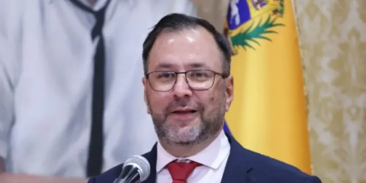 El canciller venezolano Yván Gil Pinto le respondió a Patricia Bullrich ...