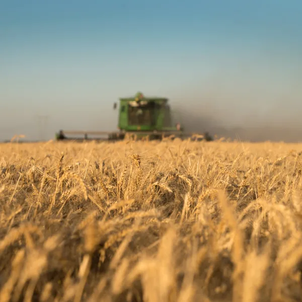 Isurus y Estral anuncian una alianza histórica para la Liga de las ...