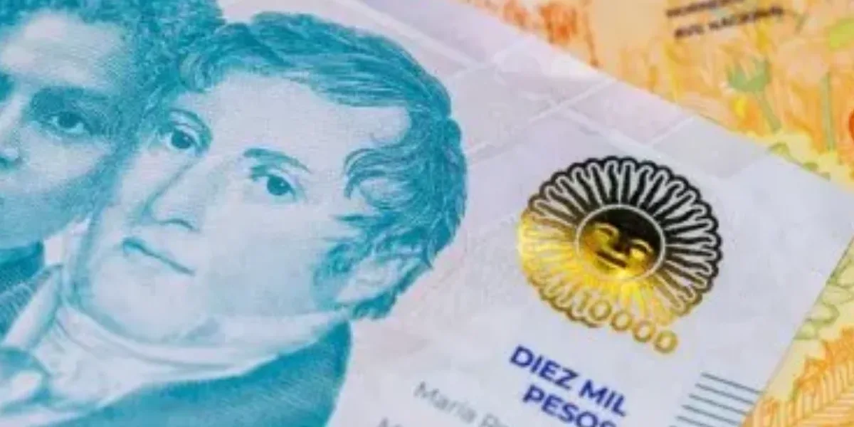 "Argentum": Presentaron un proyecto para crear una nueva moneda ...