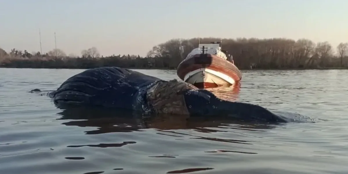 Julka guzik leak onlyfans post some quick conversation, she