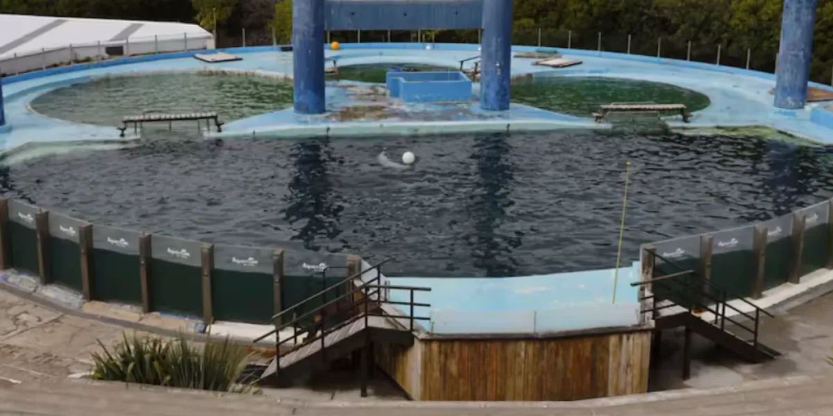 Montenegro denunció penalmente a los dueños de Aquarium Mar del Plata ...