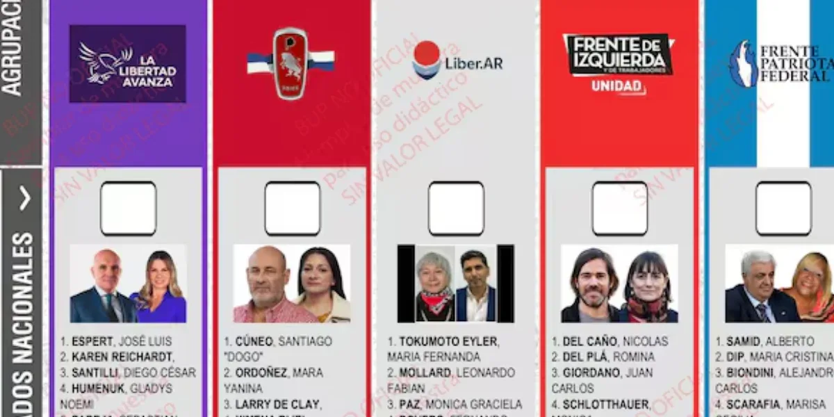 Reimprimir las boletas de la Provincia de Buenos Aires cuesta 12.100 millones de pesos | Filo News