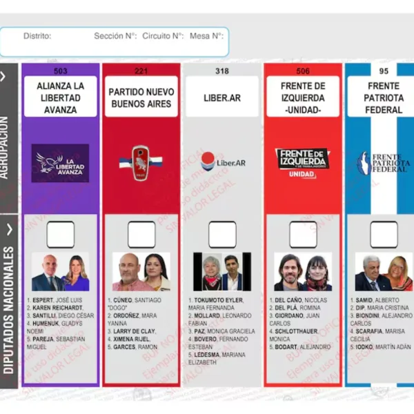 Cuánto cuesta reimprimir las boletas en PBA; Revés para el Gobierno en ...