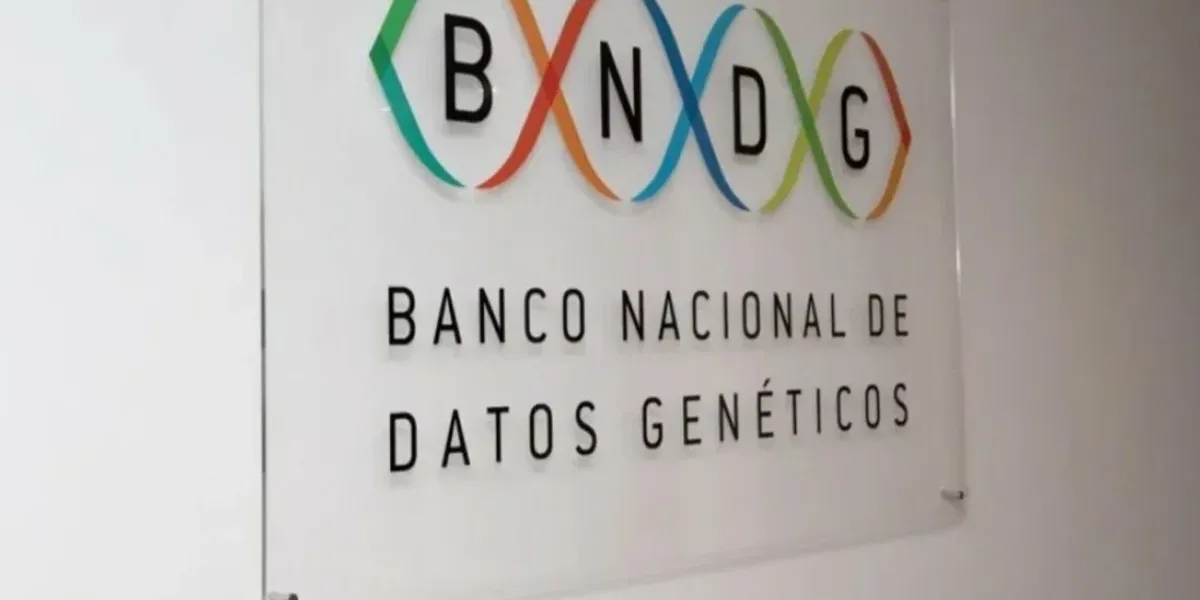 La Justicia ordenó garantizar el funcionamiento del Banco Nacional de ...
