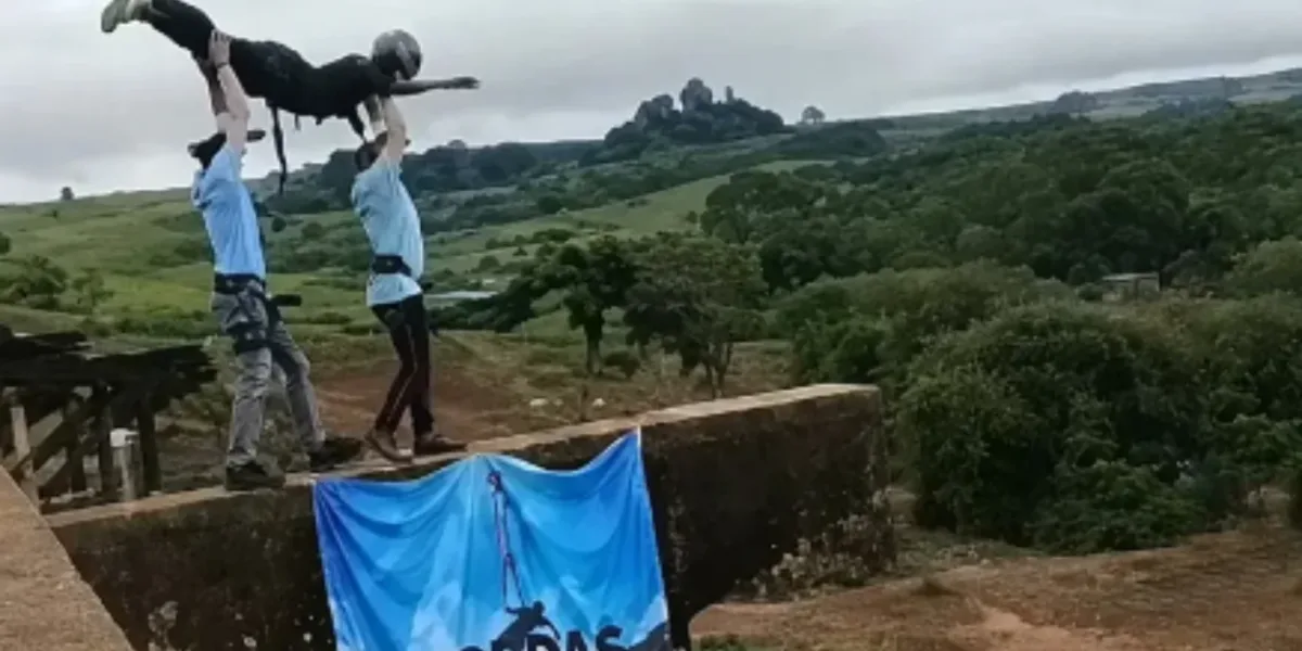 La explicación de los instructores de Bungee luego de arrojar a una ...